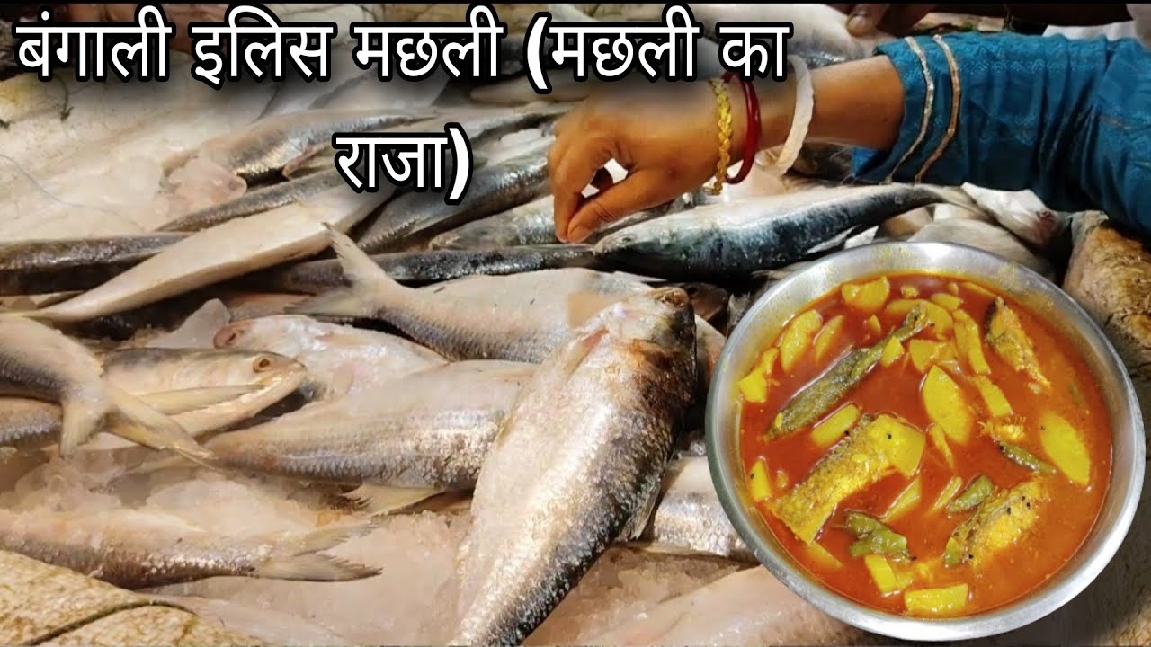Bengali Elish machli machliyon ka raja || New bengali recipe || Bengali ...