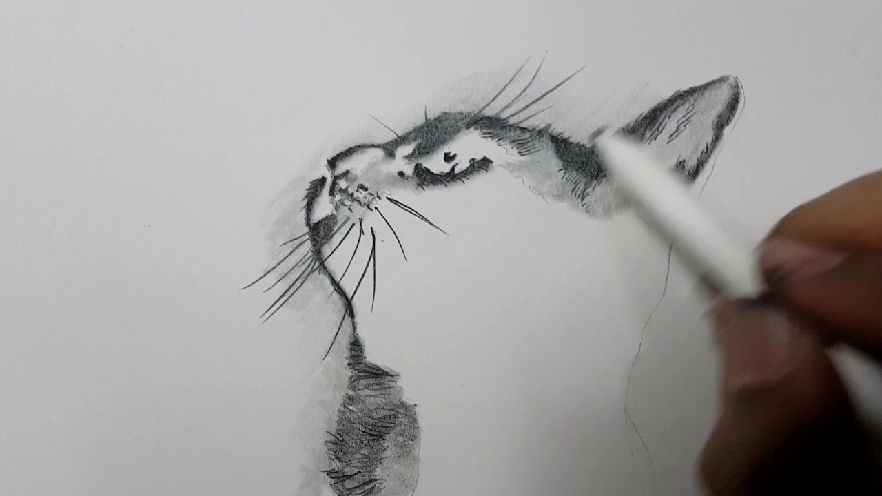 Inverted art - YouTube