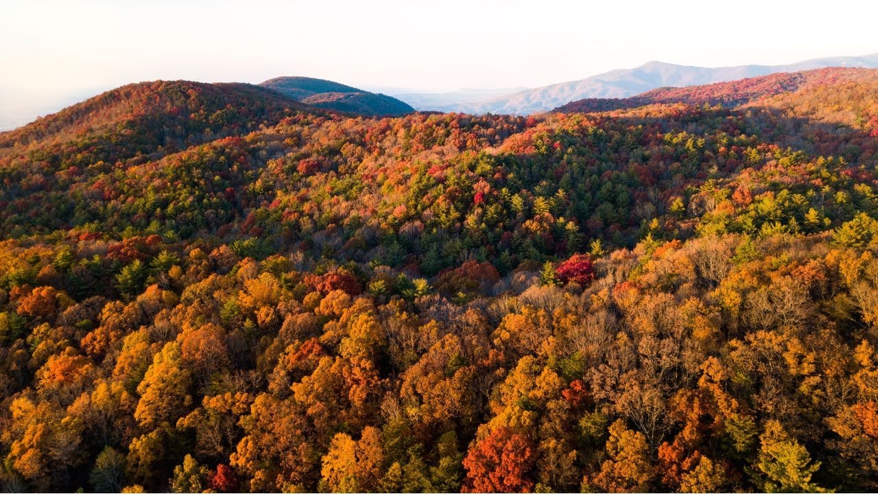 The Beauty of Peak Fall Foliage 🍁 Autumn in Stokes County, North ...