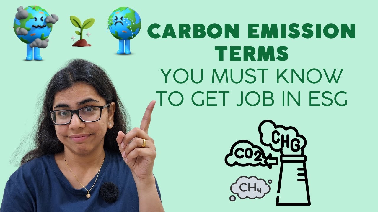 Carbon Terms Explained | Net Zero, Carbon Neutral, Carbon Positive ...