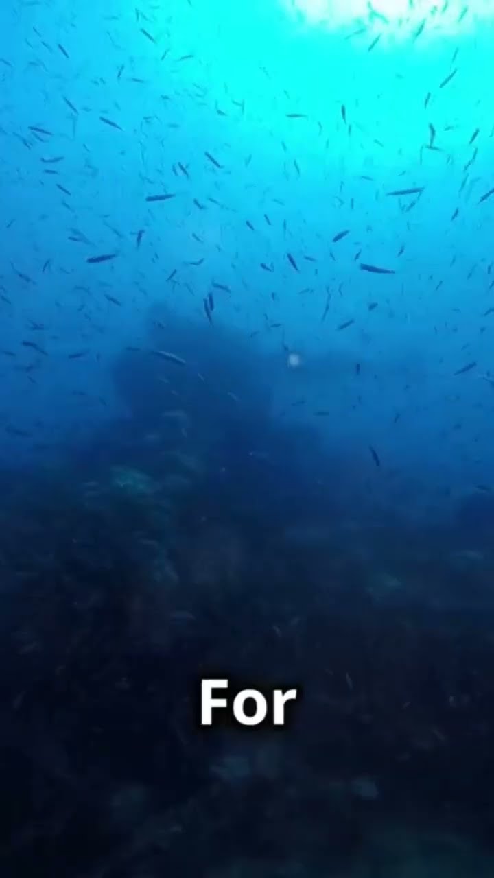 Full clip in my long YouTube video. - YouTube