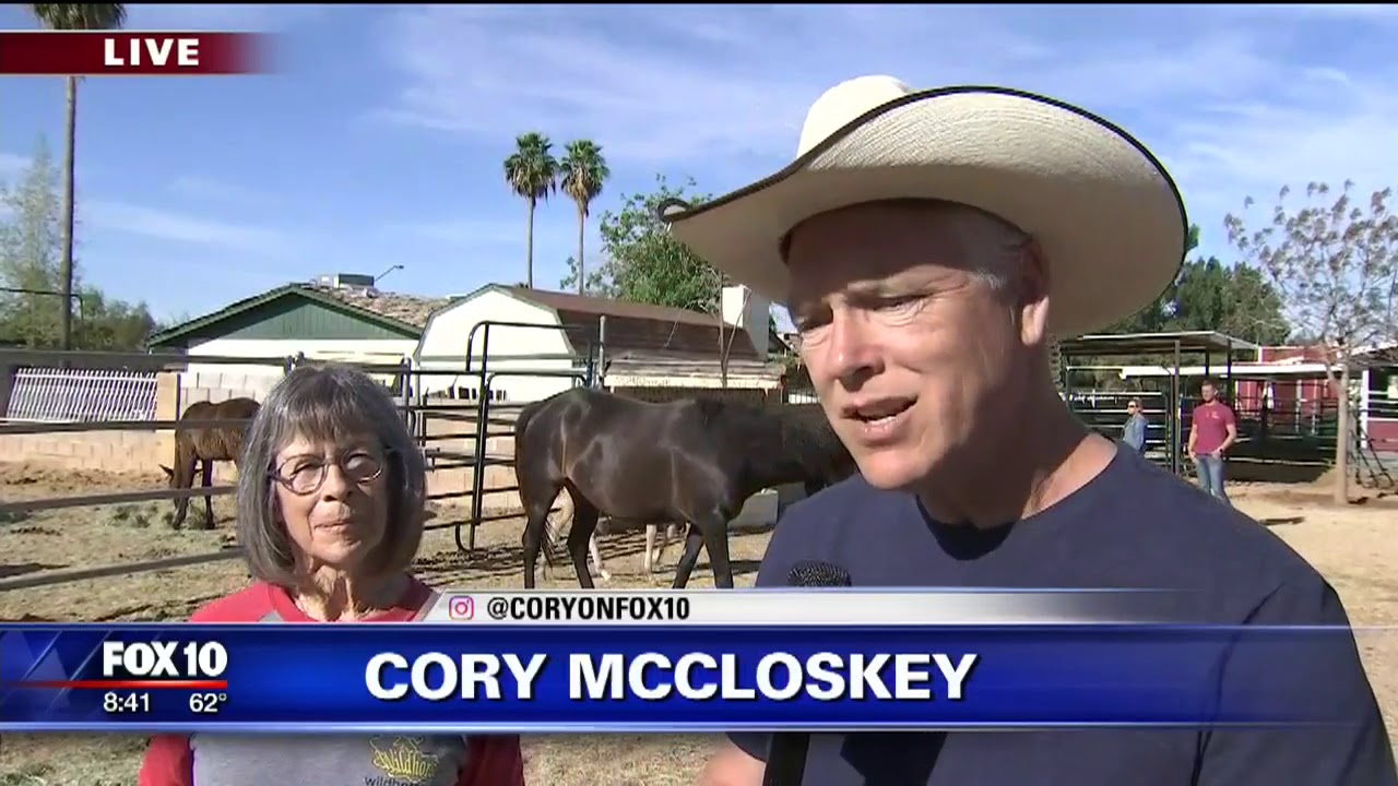 Cory's Corner: Wildhorse Ranch Rescue - YouTube