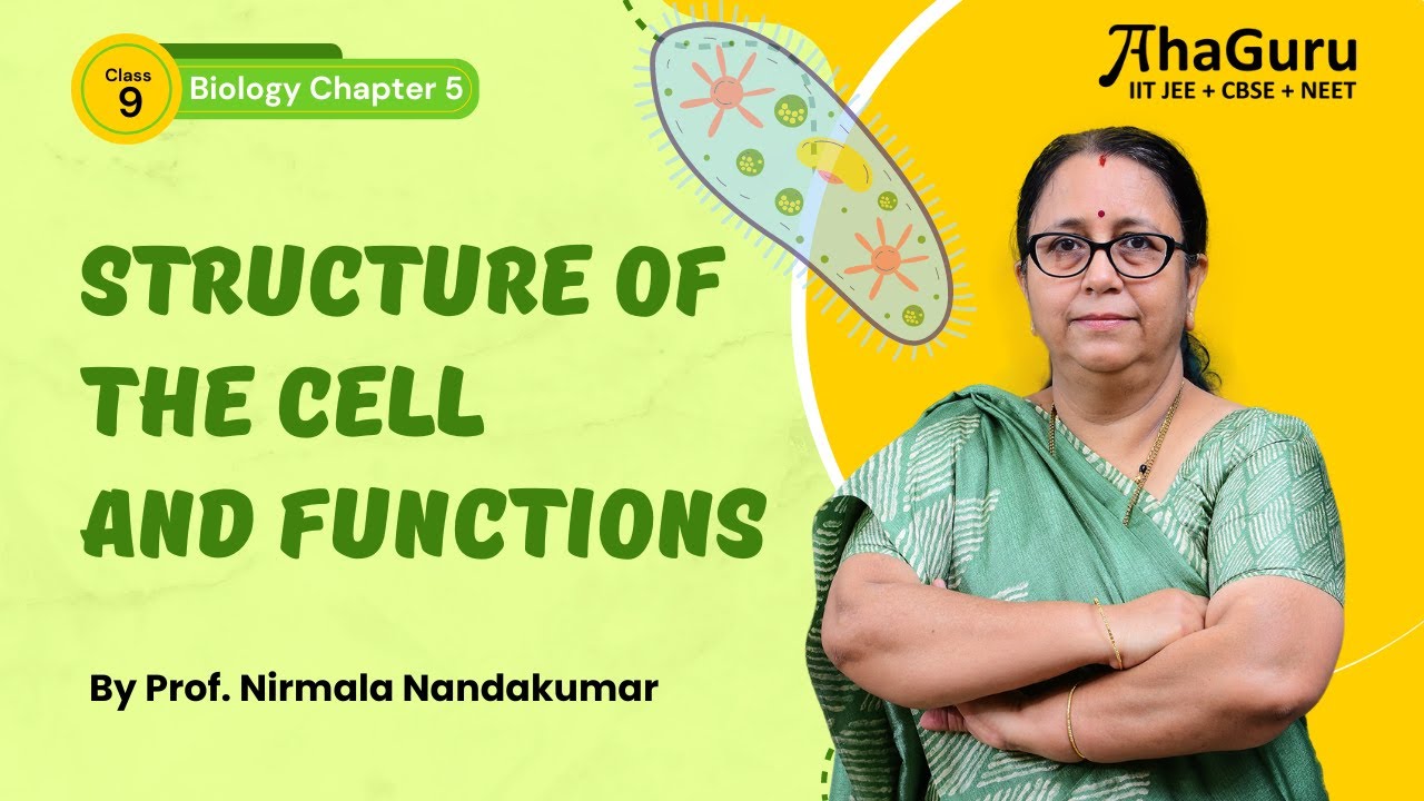 Structure of The Cell | Chapter 5 The Fundamental Unit of Life | Class ...