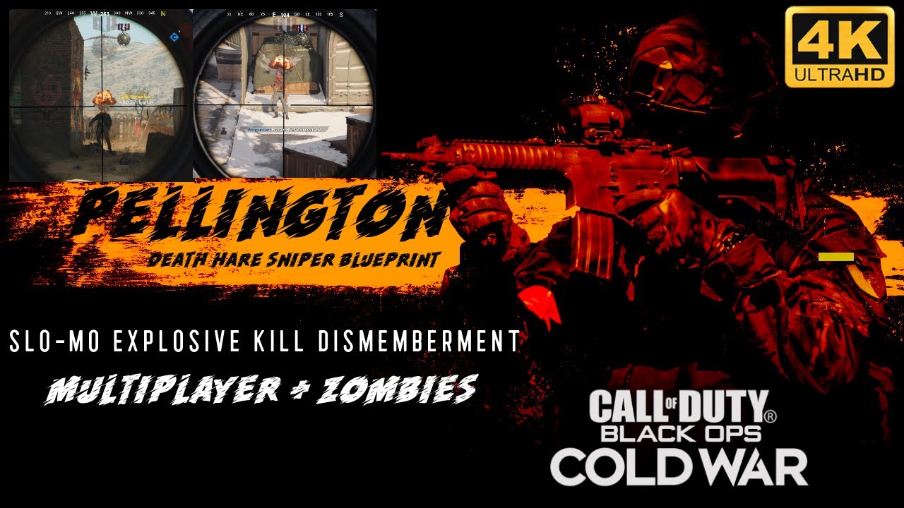 COD Black Ops Cold War/Pellington/Death Hare Sniper Blueprint/SlowMo ...