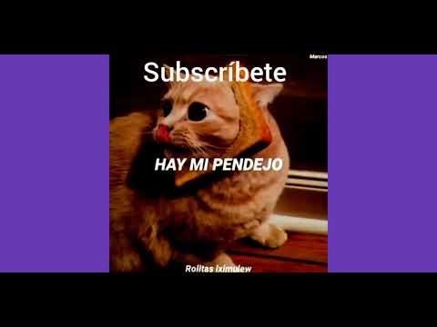 Ay mi pendejo remix efecto - YouTube