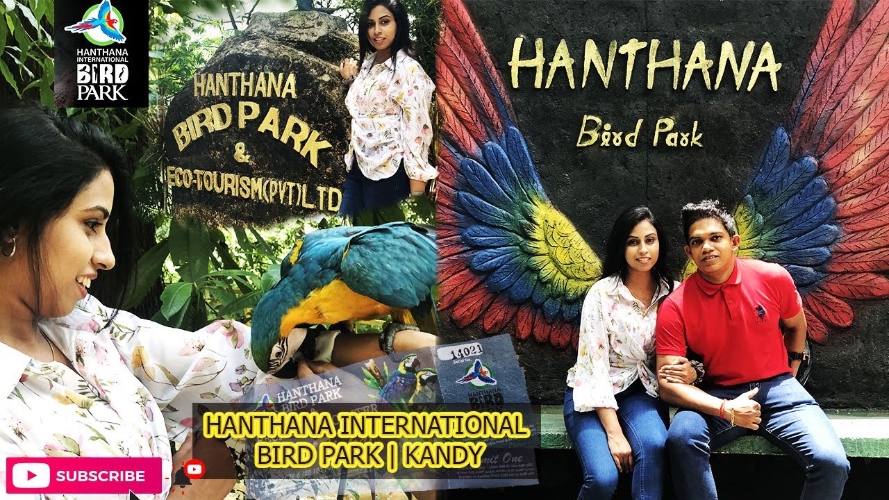 KANDY HANTHANA INTERNATIONAL BIRD PARK | මහනුවර කුරුළු පාරාදීසය 🦜🦜 ...