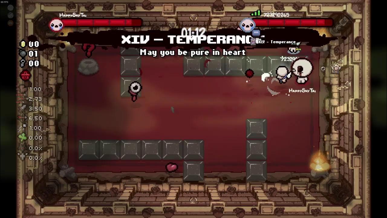 The Binding of Isaac Repentance+ Multiplayer - YouTube