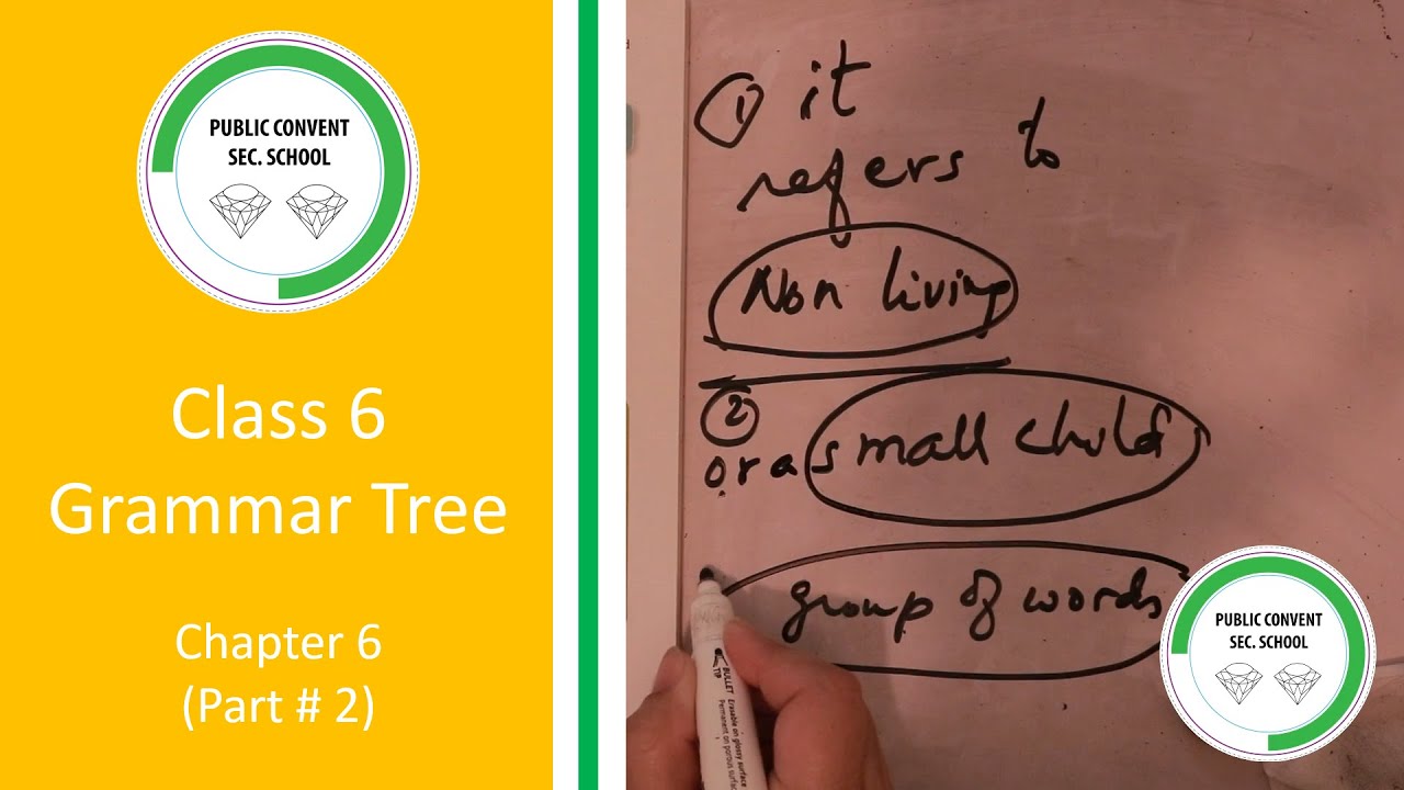 Grammar Tree | Class # 6 | Chapter 6 Pronouns (Part # 2) - YouTube