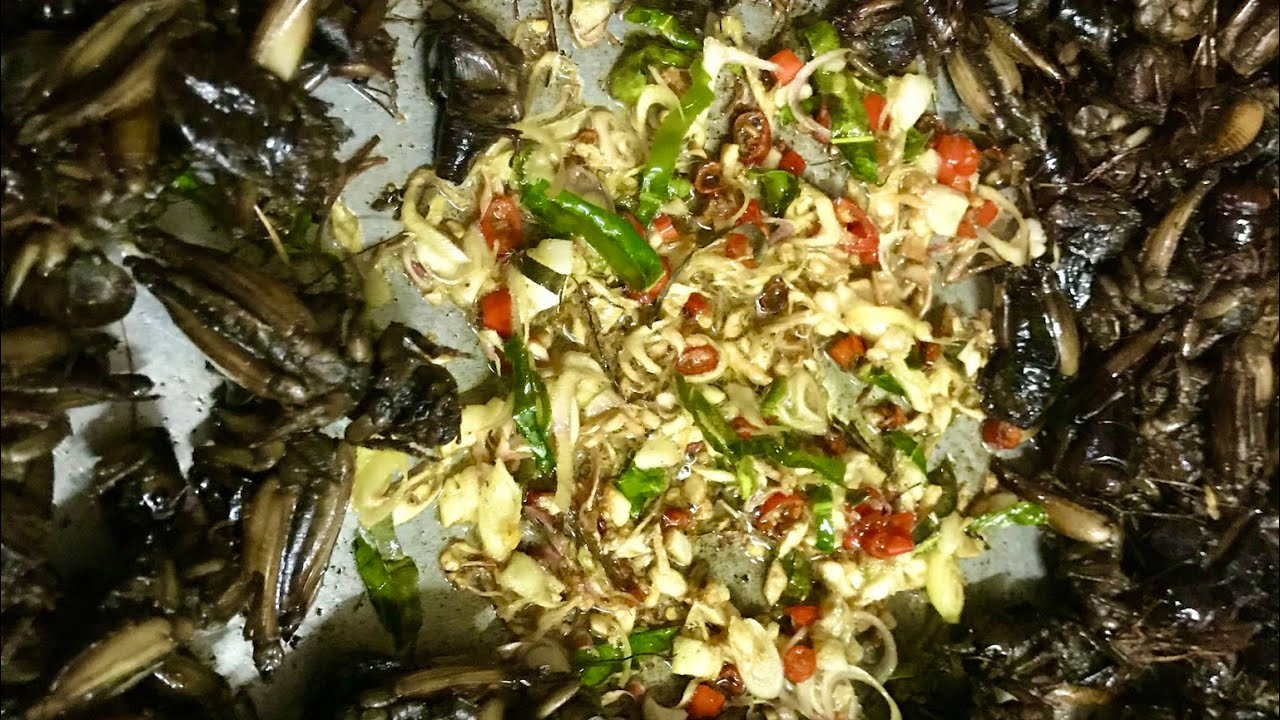 Cricket Stir Fry Recipe - YouTube