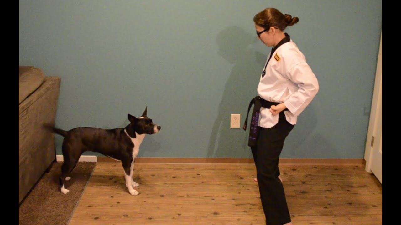 Lesson #4: Chambering for Kicks - YouTube