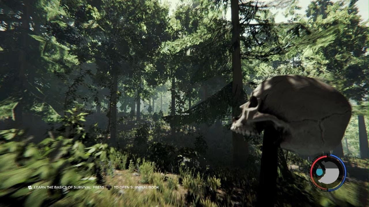 The Forest Series 1 - YouTube