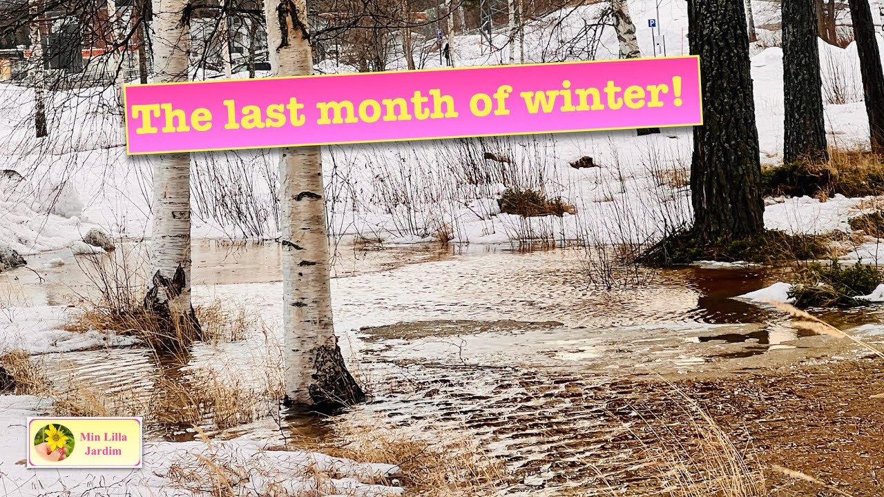 The Last Month of Winter! ️🩷 - YouTube