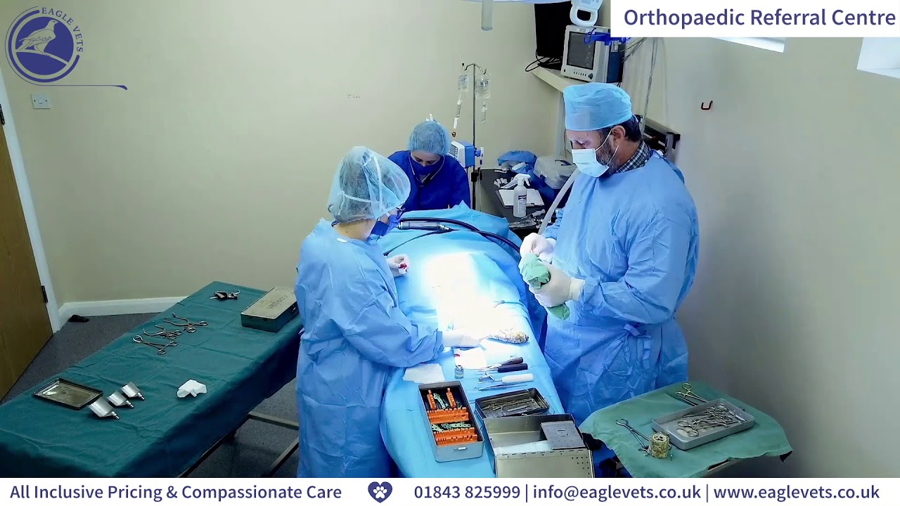 TPLO Knee Surgery Timelapse at Eagle Vets - YouTube