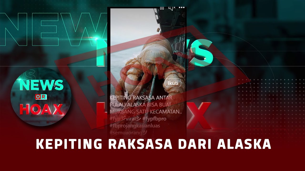 Hoax Kepiting Raksasa dari Alaska | NEWS OR HOAX - YouTube
