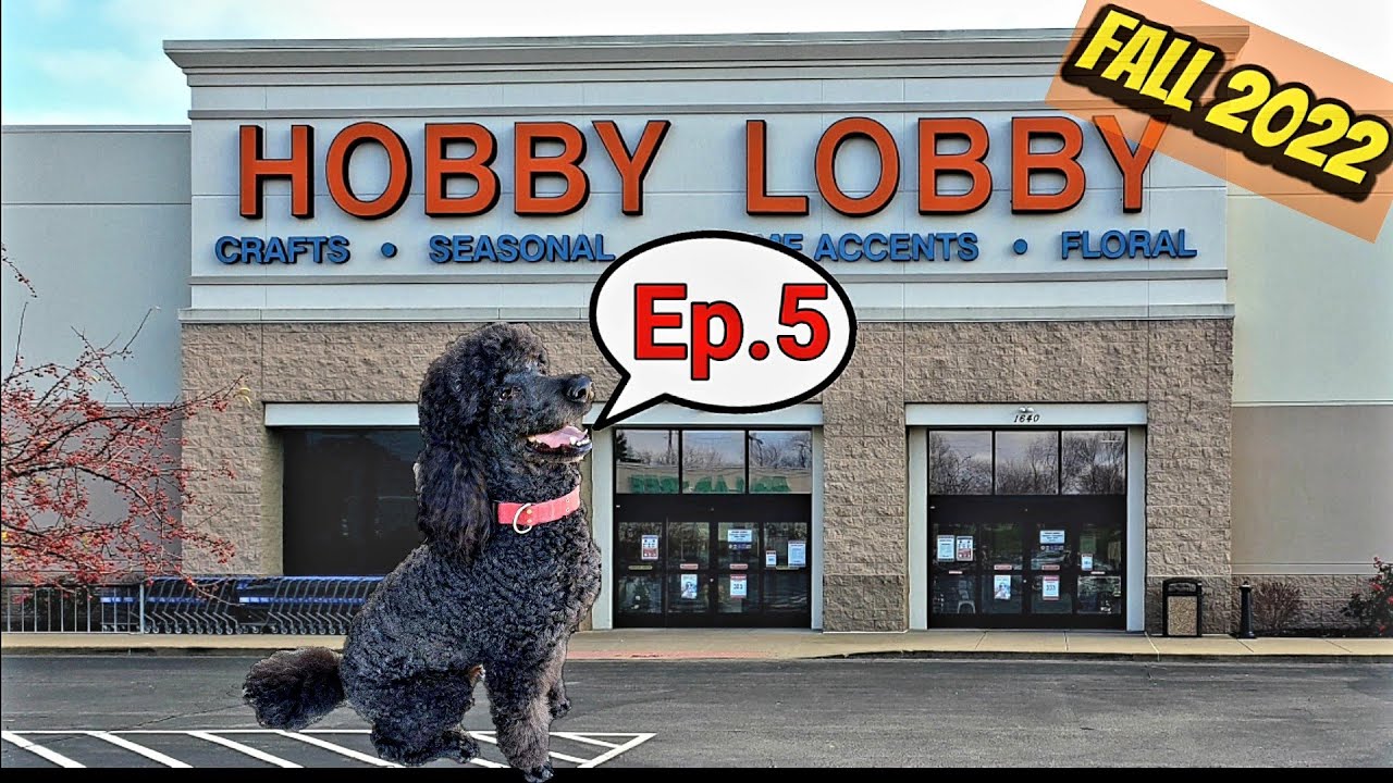Ep.5 Shopping For Gameroom/Mancave Decor At Hobby Lobby W/Max - YouTube