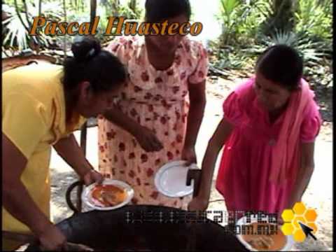 PASCAL HUASTECO 2 - YouTube