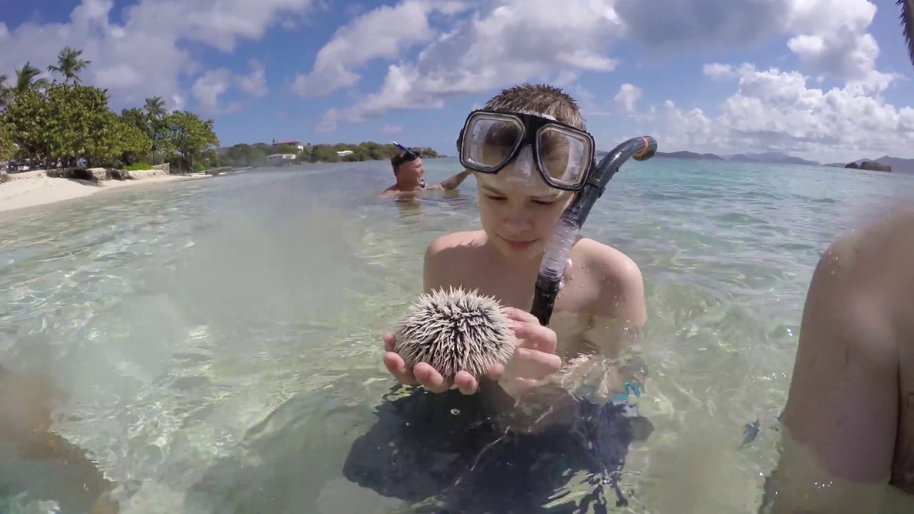 Spring Break 2017 - Norwegian Escape (4K Version) - YouTube