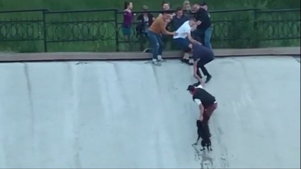 Five friends form human chain to rescue struggling dog from reservoir ...