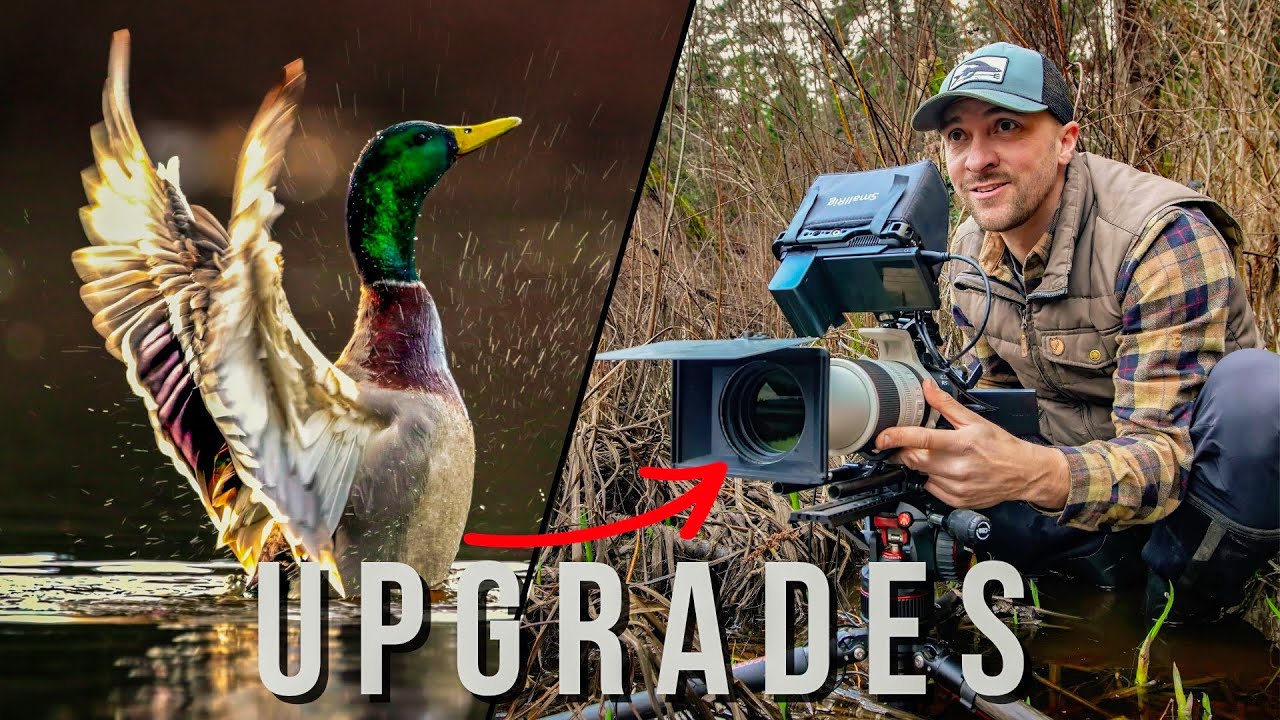 Rig Your Camera For AMAZING Wildlife Videos - YouTube