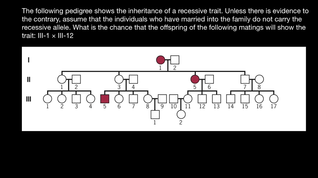 How To Solve Pedigree Probability Problems 1 YouTube how-to-solve-pedigree-probability-problems-1-youtube