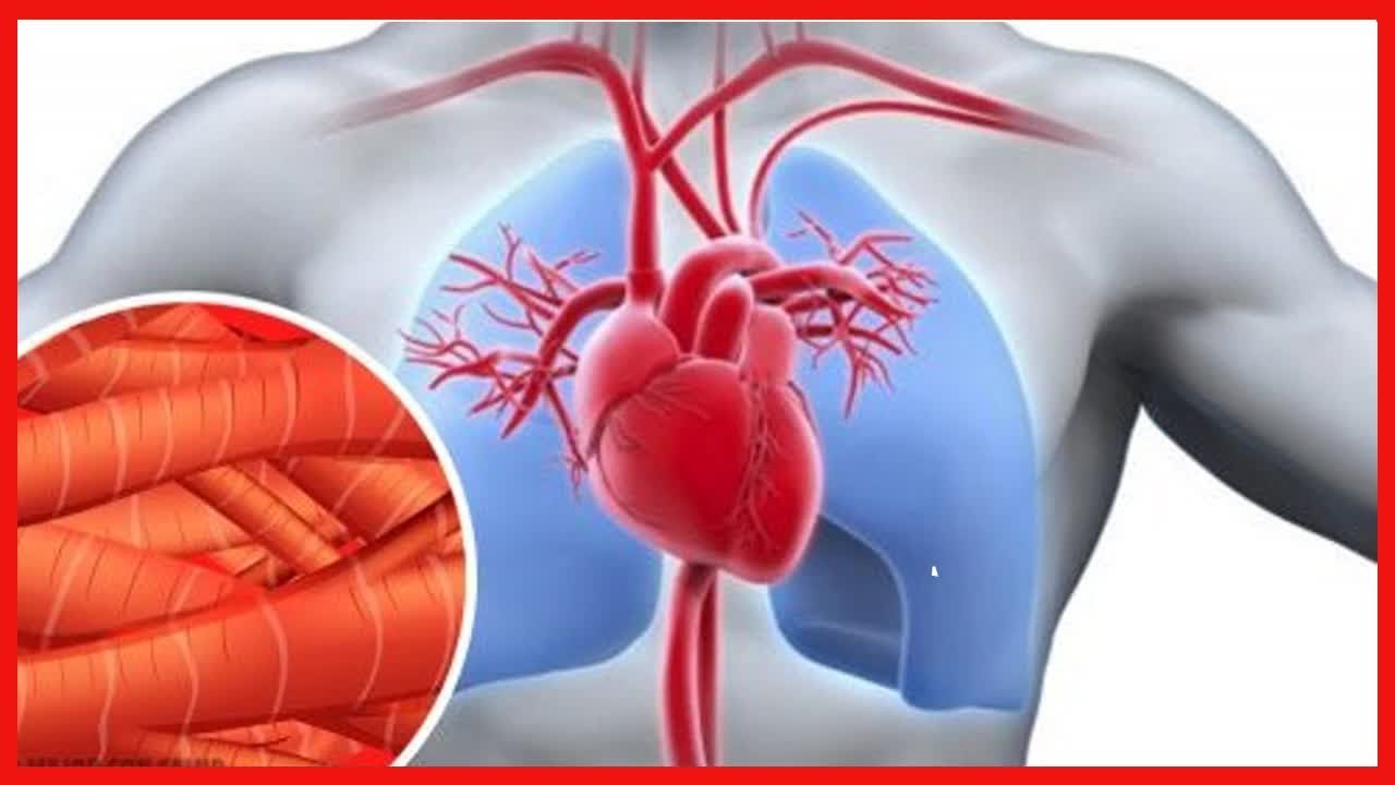 ¿Qué es el rigor mortis? - YouTube