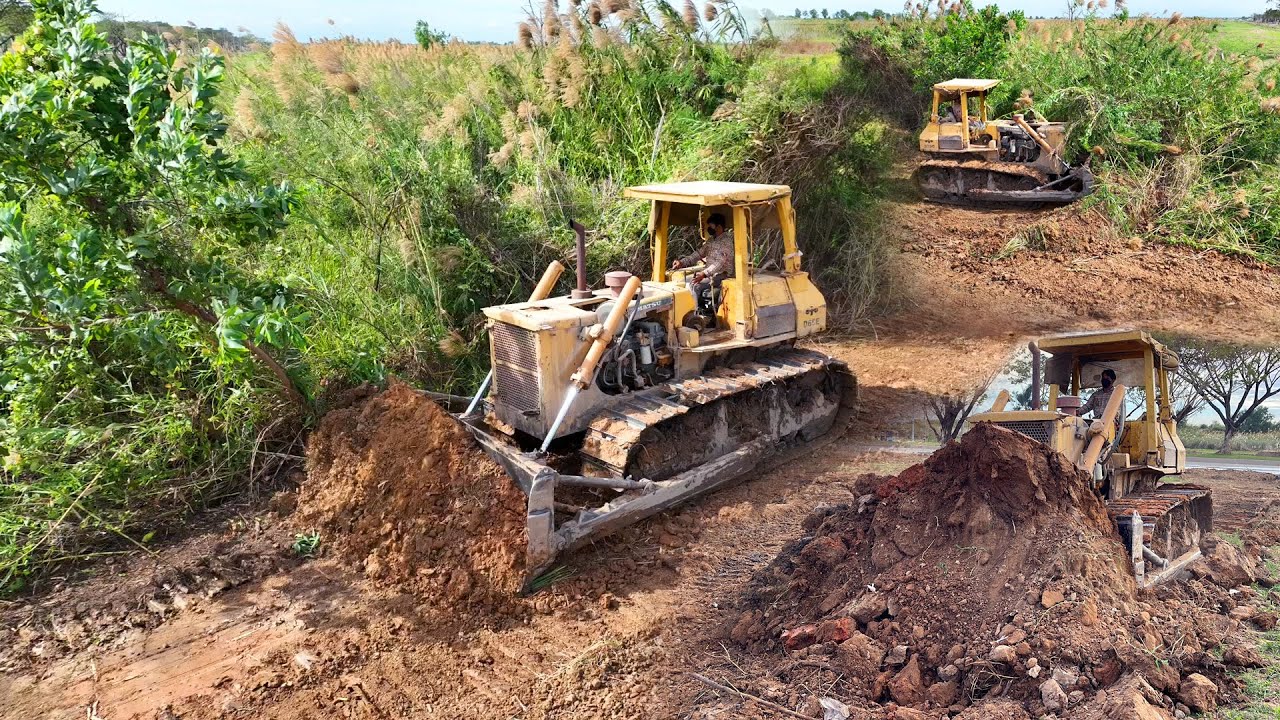 Bulldozer KOMATSU Push Tree And Clearing Land - YouTube