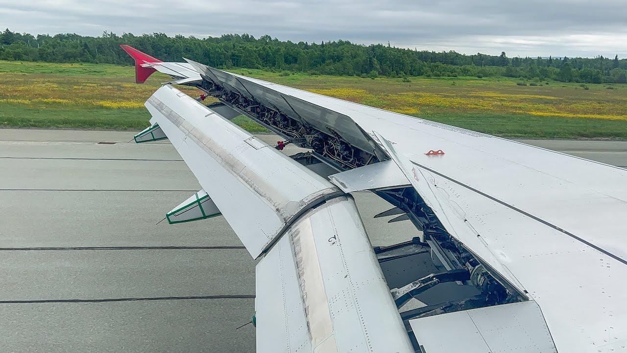 Air Canada Airbus A319-114 Windy Downhill Runway Landing in Gander ...