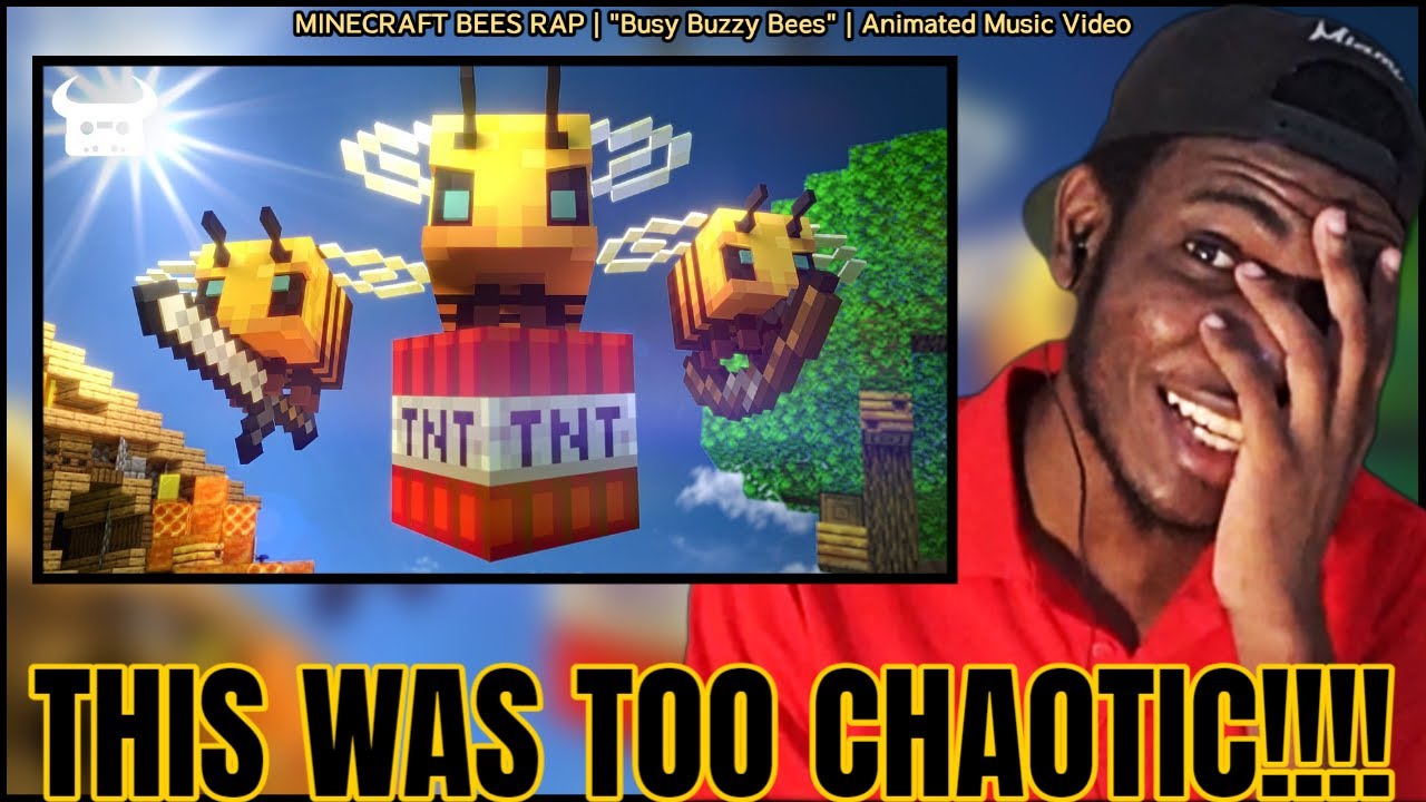 THIS WAS TOO CHAOTIC!!!! | MINECRAFT BEES RAP | "Busy Buzzy Bees" | Dan ...