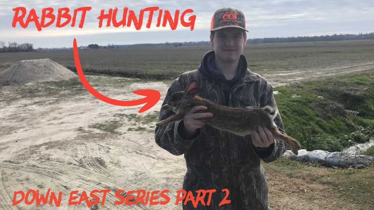 Rabbit Hunting 1 (Down East Series Pt.2) - YouTube