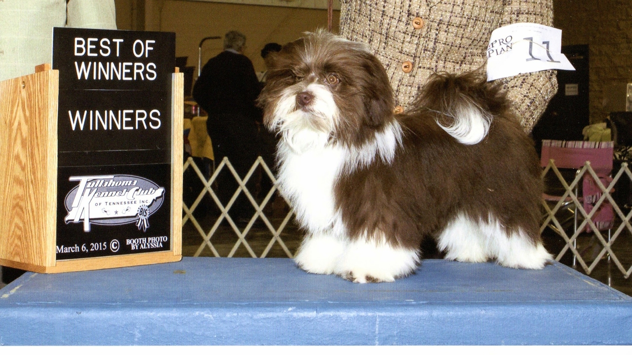 Anna Faust Live Stream - YouTube