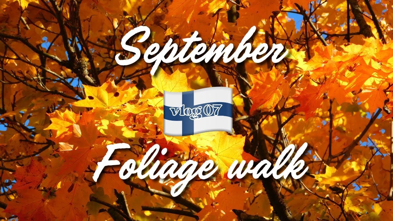 🍂 September Foliage Walk in Finnish Nature | Early Autumn Vibes 2024 🍃 ...