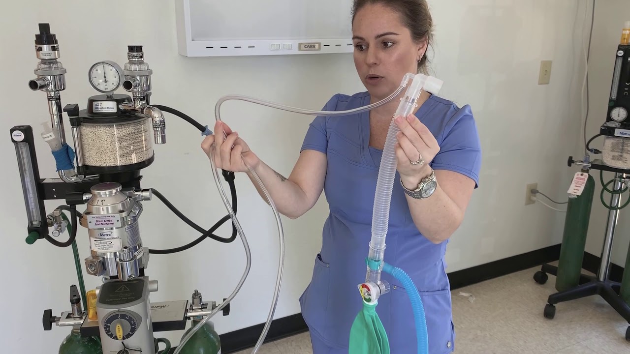 Anesthesia - Connecting a non-rebreathing system - YouTube