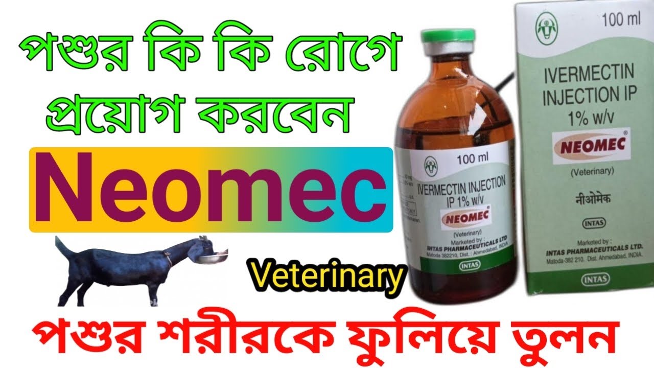 গরু মহিষ ছাগল ভেড়ার মধ্যে Neomec ইনজেকশনের উপকারিতা ও ব্যাবহার কি ...