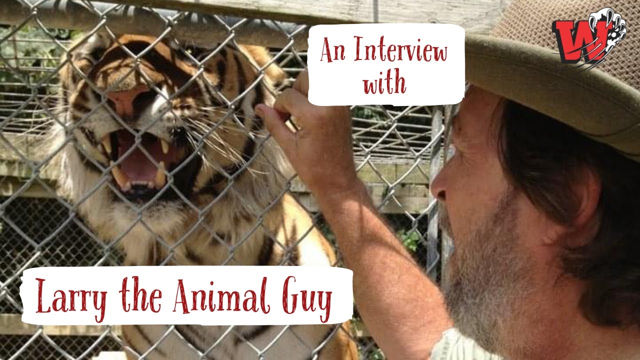 Stalker Wildcat News Presents: Larry Battson the Animal Guy - YouTube