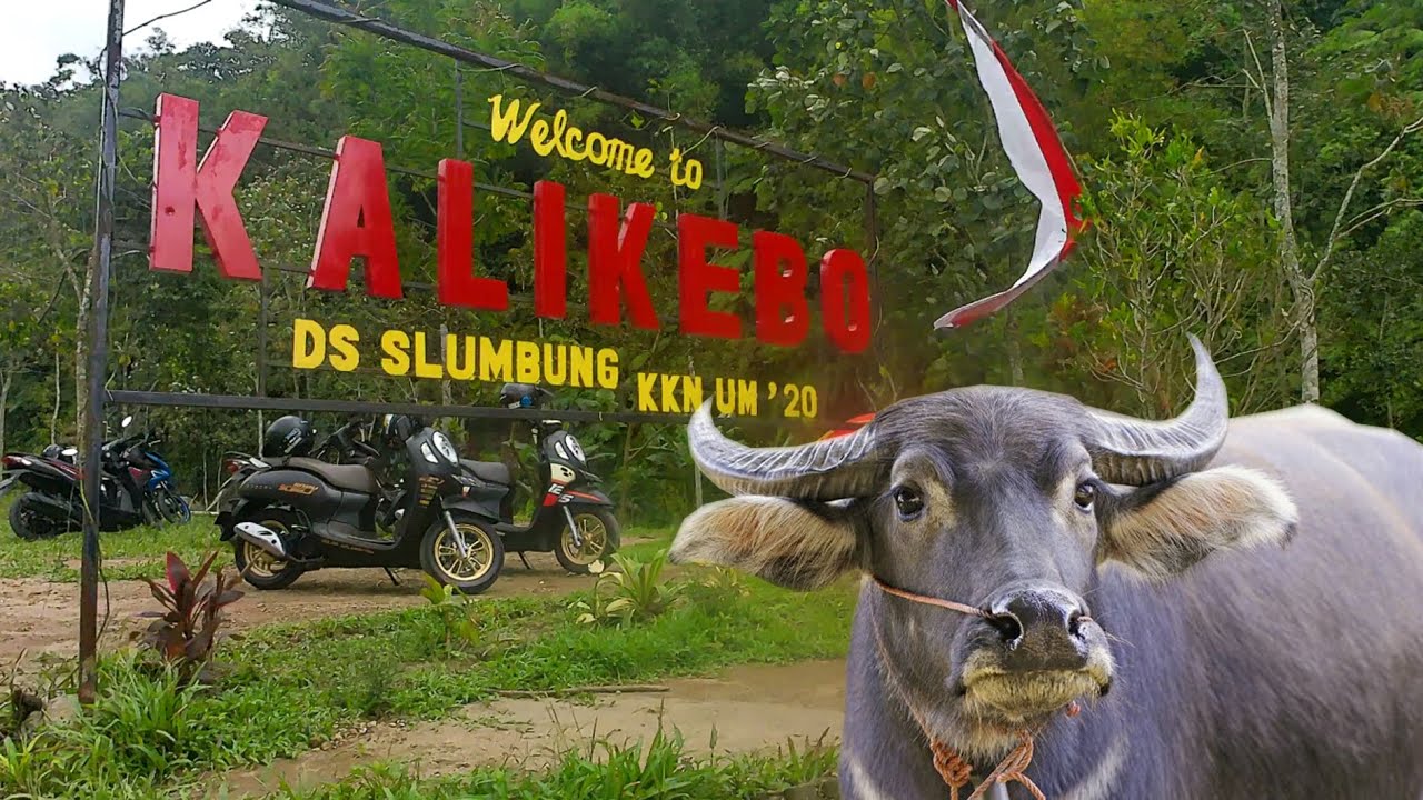 Wisata Alam KALI KEBO yang cocok untuk camping keluarga - YouTube
