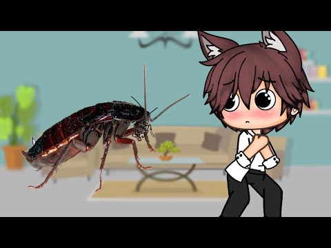 Amerikan Dublaj!/Part 1\\ |- m i l k y -