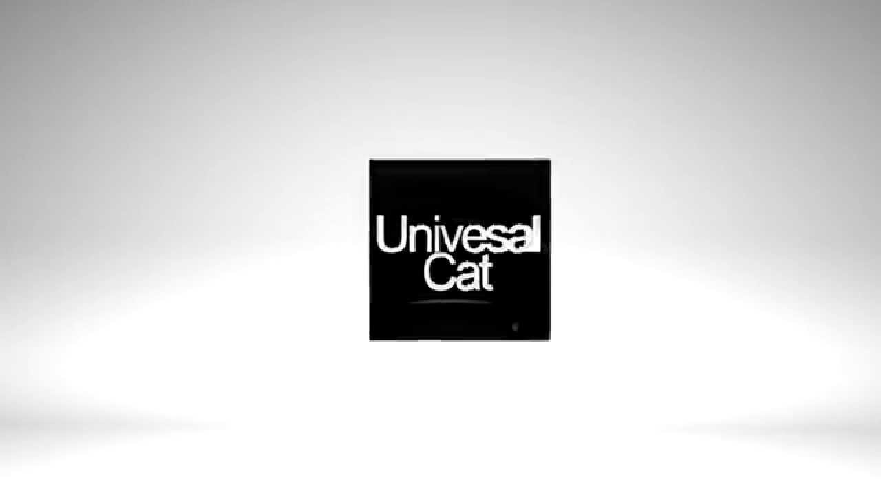 Universal Cat - YouTube