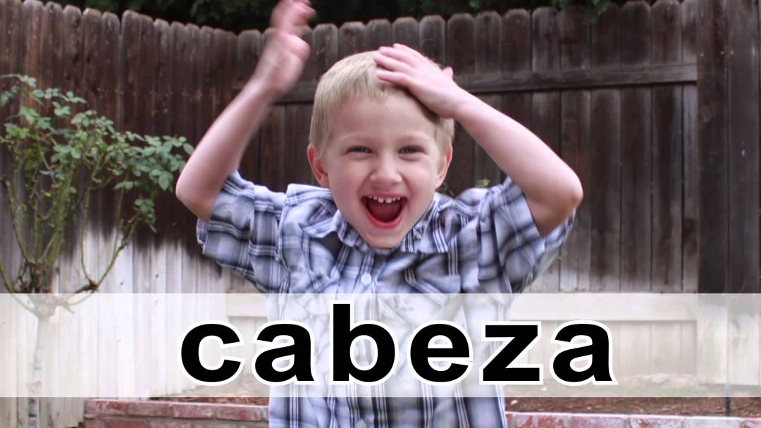 🎶 Cabeza, Cara, Hombros, Pies 👃👂👄 A Song in Spanish for learning the ...