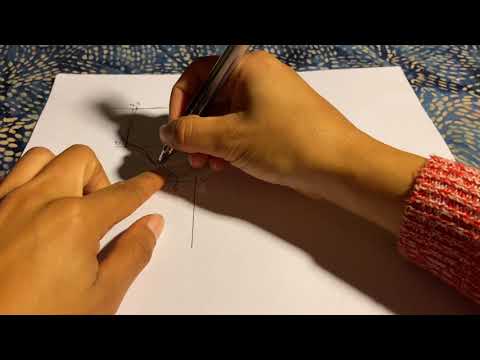 Calzón o pantaleta para niña