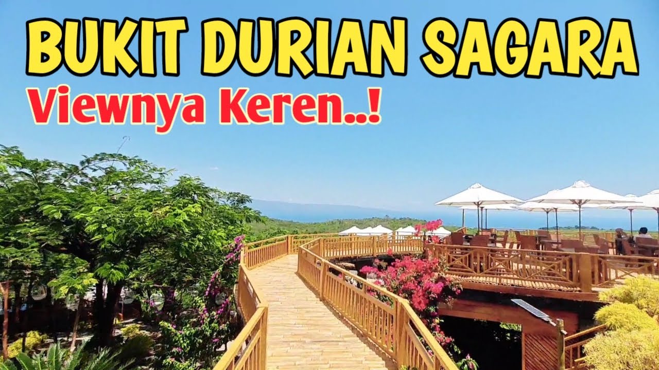 BUKIT DURIAN SAGARA|suasana pemandangan viewnya,Bagus ️Keren - YouTube
