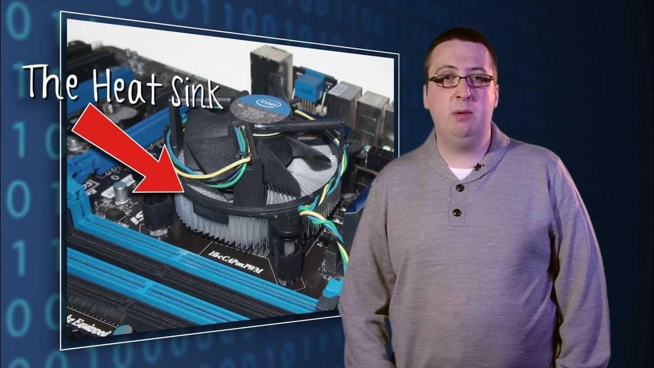 Purpose and function of the CPU - YouTube