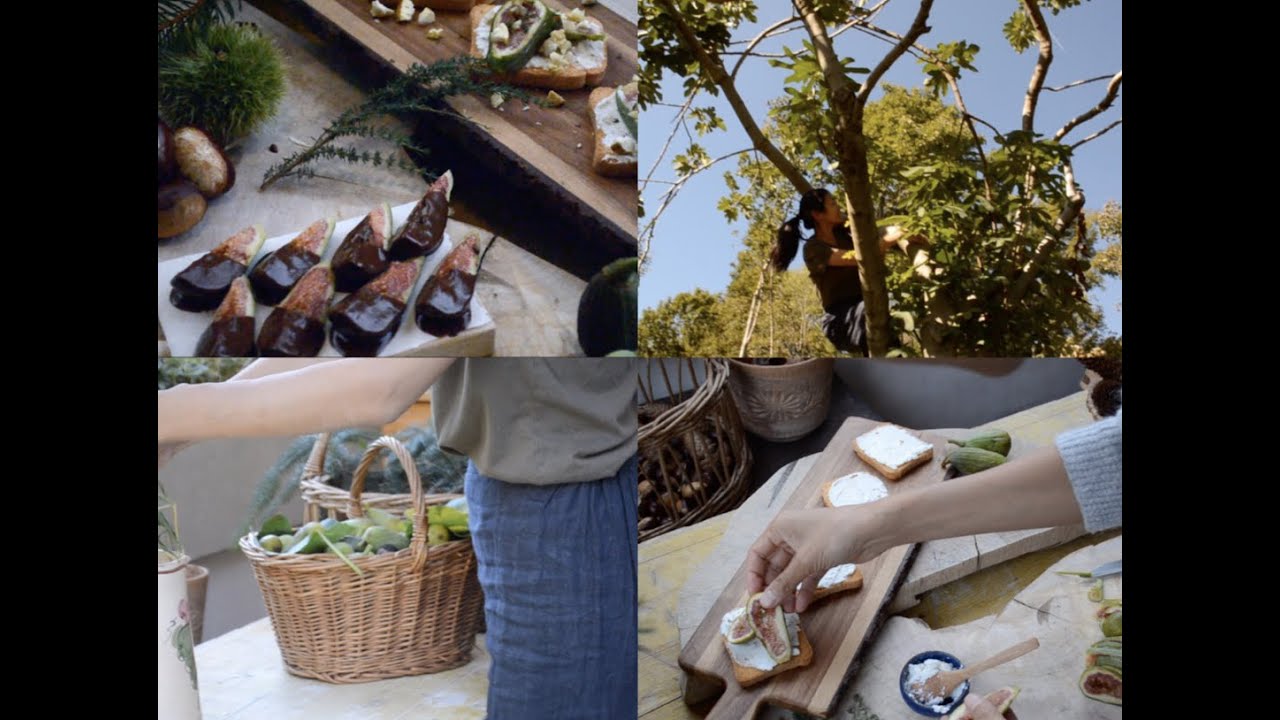 fig, before all eaten by birds, make some fig toast and dark chocolate ...