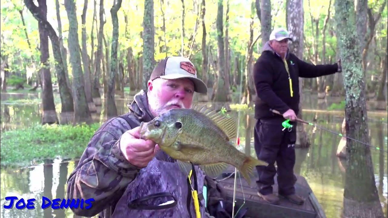 SANTEE SHELLCRACKER SWAMP PART 2 - YouTube