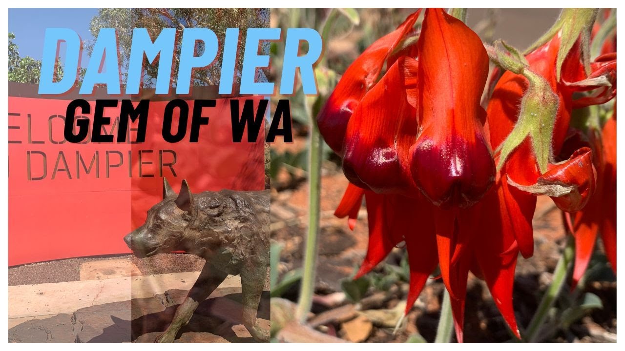 Discover Dampier: The Hidden Gem of Western Australia. - YouTube