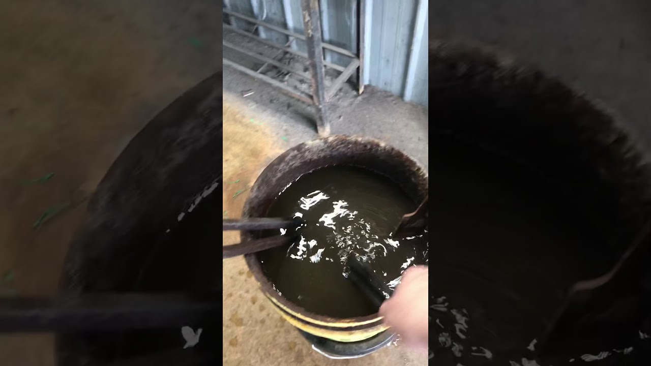 Slack Tank/Murky Tank Challenge - YouTube