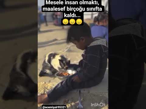 insan olmak#keşfet#shorts#duygusalvideolar#hüzünlüvideolar#damarvideolar#özlüsözler#atarlısözler