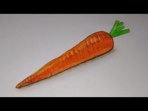 Rəsm - Yer Kökü Necə Çəkilir - How to Draw Carrot