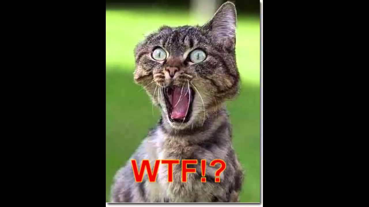 WTF - Sound Effect - YouTube