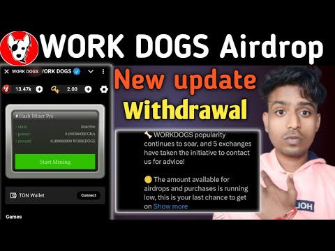 Work Dogs airdrop new update today | Work Dogs airdrop | Work Dogs new ...