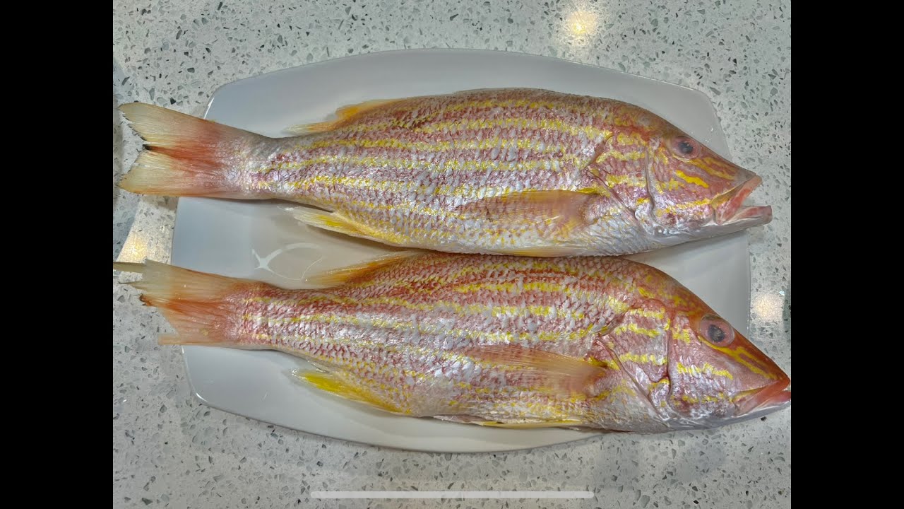 Delicious spicy steamed red snapper fish recipe (Pakistani style ...